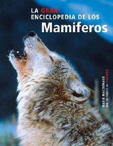 La Gran Enciclopedia de los Mam!feros: Buy La Gran Enciclopedia de los Mam!feros by MACDONALD ...