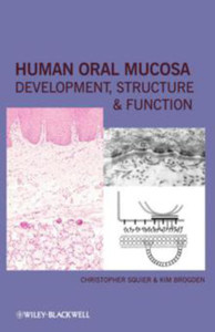 Human Oral Mucosa: Buy Human Oral Mucosa by Squier Christopher at Low ...