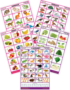 Spectrum French Educational Chart (Set of 5) Set-1 : (French Alphabets ...