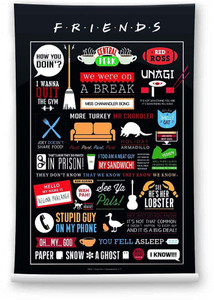 Official "Friends - TV series" Infographic Maxi Poster 24'' x 36 ...