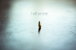 I WILL SURVIVE QUOTE POSTER Paper Print - Quotes & Motivation posters ...