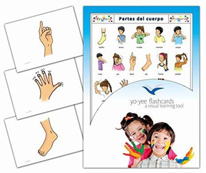 Yo Yee Flashcards Tarjetas De Vocabulario - Partes Del Cuerpo - Body ...