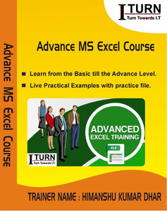I Turn Institute Advance MS Excel DVD Tutorial - I Turn Institute : Flipkart.com