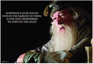 WB Official Licensed Harry Potter Albus Dumbledore Happiness Quote ...