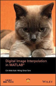 Digital Image Interpolation In Matlab Buy Digital Image Interpolation
