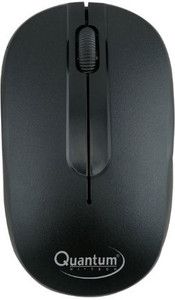 QUANTUM QHM271 Wireless Ambidextrous Optical Mouse - QUANTUM : Flipkart.com