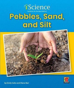 Pebbles, Sand, & Silt: Buy Pebbles, Sand, & Silt by Sohn Emily at Low ...