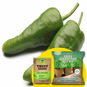 TrustBasket Chilli Big (OP/Desi) Seeds with Free Germination Potting Soil Mix Seed Price in ...