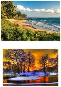 Nature Poster Combo | Poster For Wall Decoration | Wall Décor | High ...