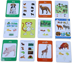 MINTLEAF Flash Cards For kids Combo of Animal, Alphabet, Fruits and ...