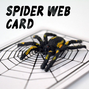 MilesMagic The Spider Web Card Gimmick Magician's Scariest Undetectable ...