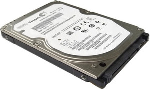 Seagate SGT320 320 GB Laptop Internal Hard Disk Drive (HDD) (320 GB Internal Hard) - Seagate ...