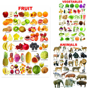 voorkoms 30.48 cm Vegetables Fruit Animals Early Learning Educational ...