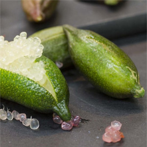 WILLVINE Finger Lime - Citrus Australasica - Caviar Lime Tree Seed Price in India - Buy WILLVINE ...