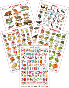 Spectrum Set of 5 Educational Large Wall Charts : ( Wild Animals ...