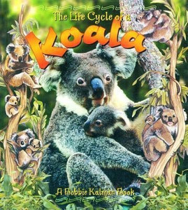 The Life Cycle of a Koala: Buy The Life Cycle of a Koala by Levigne ...