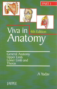 Viva in Anatomy: Buy Viva in Anatomy by Yadav A at Low Price in India ...