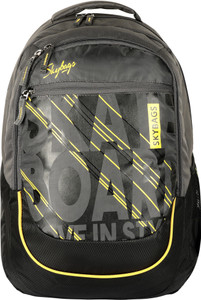 SKYBAGS New Arthur 30 L Laptop Backpack Black - Price in India | Flipkart.com