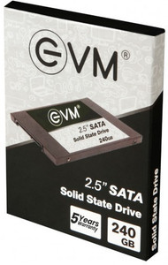 EVM EVM25 240 GB Laptop, Desktop, All in One PC's Internal Solid State Drive (SSD) (25/240GB ...