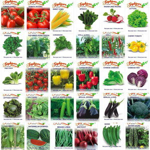 Saphirre Seeds Basil,Beans,,Beetroot,Bhindi,Bitter gourd,Brocolli,Brinjal,Cabbage, Capsicum ...