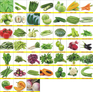 PRADHAM SEEDS AMARANTHUS GREEN , DRUMSTICK, CHILLI DARK GREEN , CUCUMBER LONG, SWEET CORN, TINDA ...