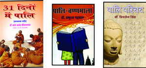 31 Dino Mai Pali+pali Vnnmala+pali Prichay (Combo Of 3 Learning Pali Books: Buy 31 Dino Mai Pali ...