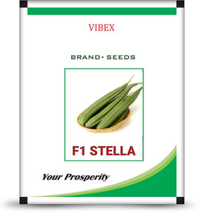 ActrovaX Hybrid F1 Stella Ridge Gourd [800 Seeds] Seed Price in India - Buy ActrovaX Hybrid F1 ...