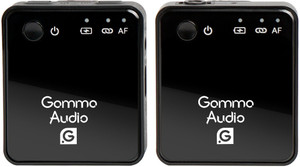 Gamma Audio GA-YW13 HQ True Diversity Condenser Wireless Microphone With RGB LED Indicator ...