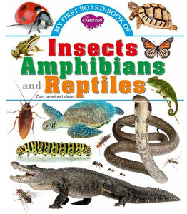 Insects, Amphibians And Reptiles: Buy Insects, Amphibians And Reptiles ...
