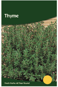 CYBEXIS Thyme Herb Seeds-100 Seeds Seed Price in India - Buy CYBEXIS Thyme Herb Seeds-100 Seeds ...
