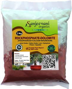 Sanjeevani organics Enriched 36% Rock phosphate (Phosphorous Rich ) Powder mix with Dolomite ...