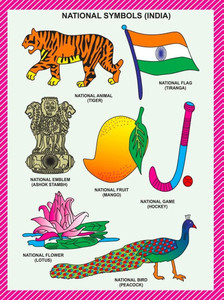 moreyaji National Symbols (India) with Knob, Multi Color Boy & Girls ...