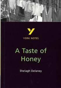 A Taste of Honey York Notes GCSE English Literature Study Guide - for ...