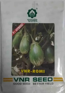 Yug vnr ROMI hybrid brinjal Seed (10 g) Seed Price in India - Buy Yug vnr ROMI hybrid brinjal ...