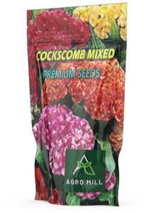 AGRO MILL PREMIUM QUALITY MIXED COCKSCOMB/COXCOMB/CELOSIA PLUMOSA FLOWER Seed Price in India ...