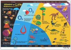 Science Poster for Kids - History of Life - Size A3 - 11.7 X 16.5 ...