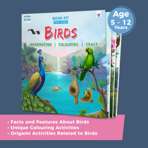 Bird Activity Book Kit For Kids |Early Learning Book | Birds ...