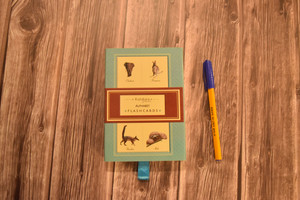 raldins paperworks [SMALL] ABC Alphabets Flash Cards - 26 A6 Size ...