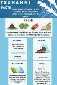 Kids Learning Sticker Poster|Tsunami Facts Learning Sticker Poster For ...