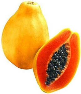 STOKIYA ORIGINAL RED LADY F1 HYBRID PAPAYA TAIWAN 786 VARIETY SEEDS ( 250SEEDS ) Seed Price in ...