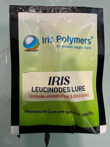 Iris Polymers Bug Box Price in India - Buy Iris Polymers Bug Box online at Flipkart.com