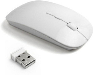 TERABYTE TB-MW-023 Wireless Optical Mouse - TERABYTE : Flipkart.com