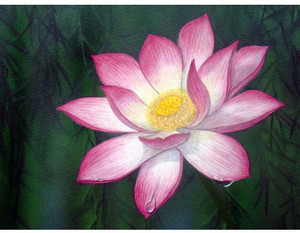 Tallenge - Breathing Flower - A3 Size Premium Quality Rolled Poster ...