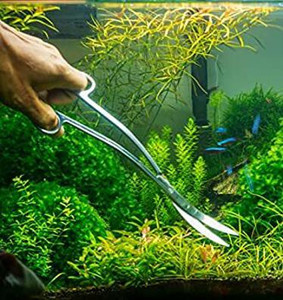 Fizzy Wave Scissor 8inch Stainless Steel Long Lasting Aquascaping Tool Aquarium Tool Price in ...