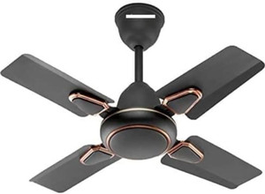 NIKI TASHA decore 600 mm 4 Blade Ceiling Fan Price in India - Buy NIKI TASHA decore 600 mm 4 ...