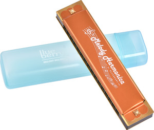 BLUEBERRY R-1601 Harmonica for Beginners, Harmonica for kids,16 Holes 32 Tunes Mouth Organ Price ...