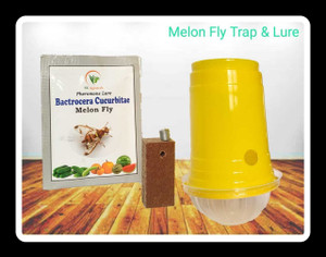 S K Agrotech Bactrocera Dorsailas- fruit fly pheromone lure & fruit fly trap ( pack of 25 ...