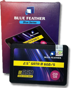 Blue Feather Blue 256 GB Surveillance Systems Black SATA Internal Solid State Drive (SSD ...