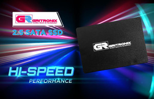 GRITRONIX SSD 256 GB Desktop, Laptop Black SATA III Internal Solid State Drive (SSD) (SATA 3 SSD ...