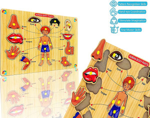 KIDACIOUS Down Price Human Body Parts Puzzle Games Learning Educational ...